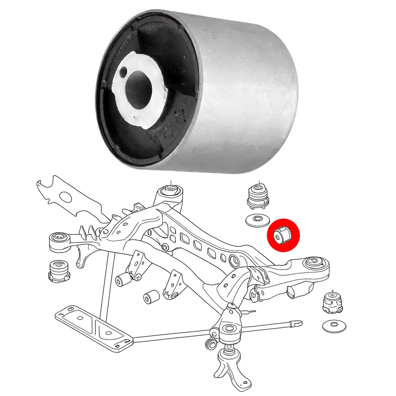 Differential mount bush, BMW Serie 1/2/3/4/X1/X3/Z4 - SILENTBLOCKS